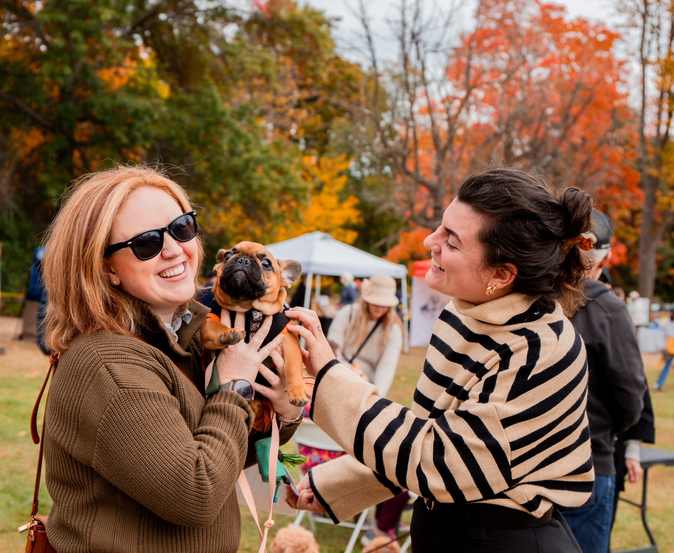 Life & Work with Stephanie Dehn of Downtown Traverse City – Voyage ...